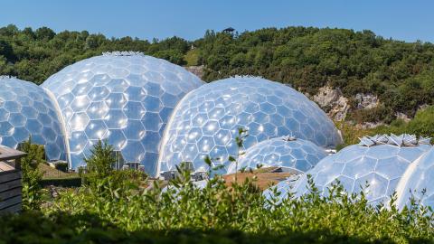 What's on | Eden Project