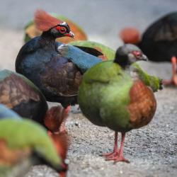 Donate to the Eden Project | Eden Project